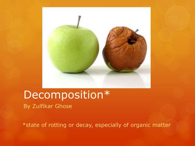 Decomposition by Zulfikar Ghose | PPTX