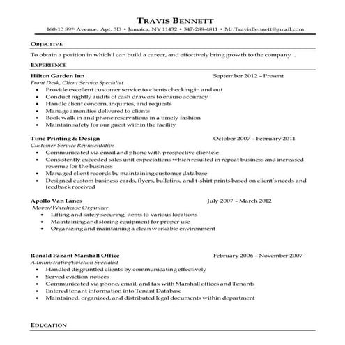 Professional Resume | DOCX