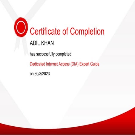 Dedicated Internet Access (DIA) Expert Guide.pdf