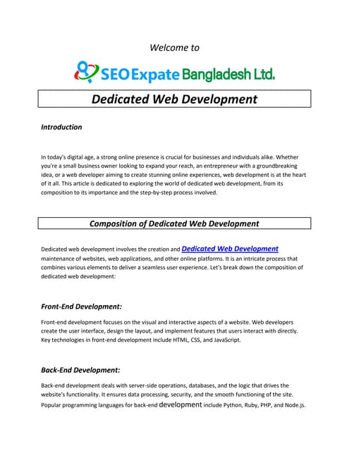 Common Web Development Mistakes | PDF