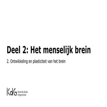 2. Ontwikkeling en plasticiteit van het brein | PPTX