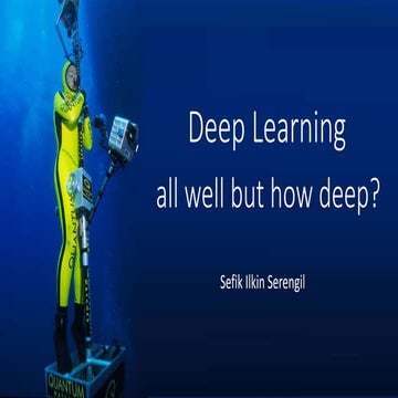 Deep Learning, all well but how deep? | PPT