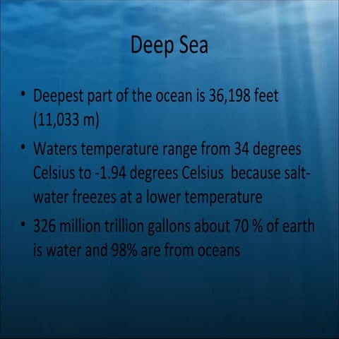 Deep Sea | PPT