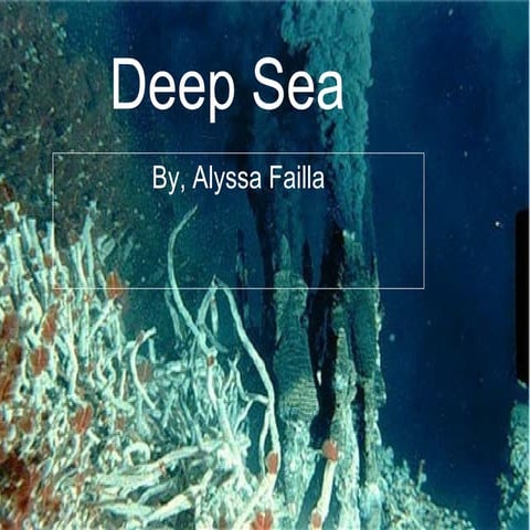 DEEP sea | PPT