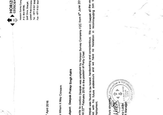 Project simulation assessment certificate | PDF