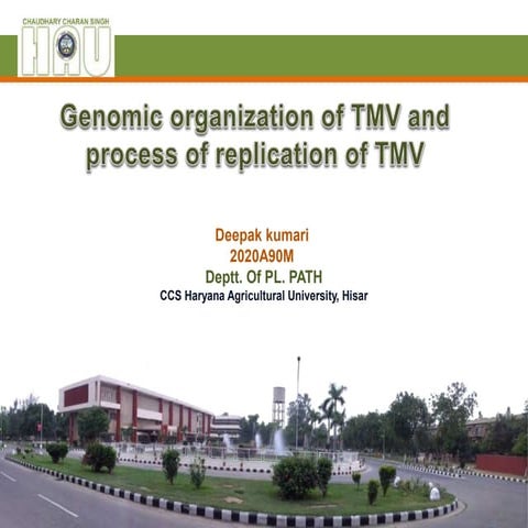 deepak virology tmv.pptx