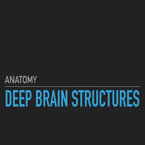 Deep brain structures | PDF