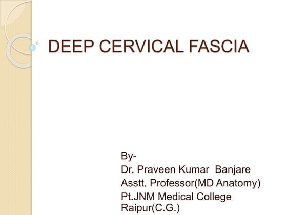 Superficial & deep fascia | PPTX | Skin and Dermatology | Diseases and ...