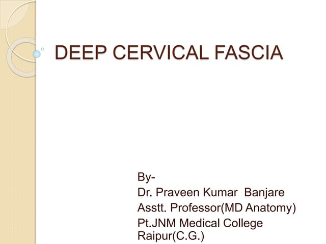 Superficial & deep fascia | PPTX