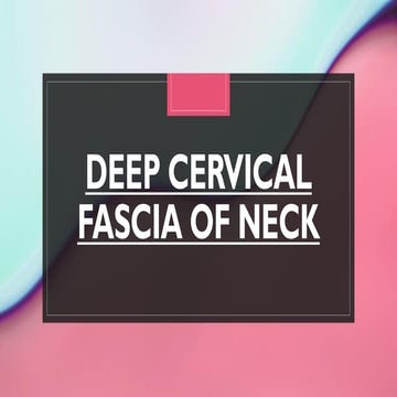 Deep cervical fascia of neck | PDF