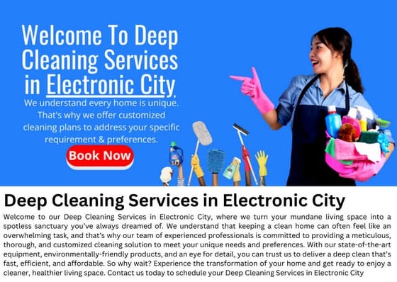 Professional Solution Cleaning Services.pptx