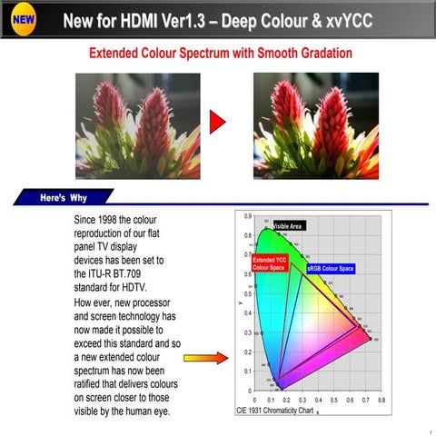 Deep Colour-XVycc updated viewing TV.ppt