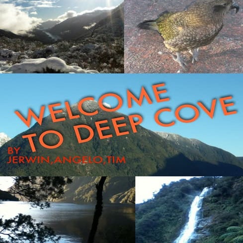 Deep cove 2013 | PDF