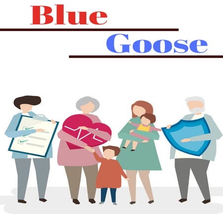 Deep Dive into Medicare Insurance Trends 2020 | PDF