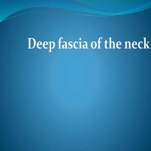 Deep fascia of Neck | PPTX