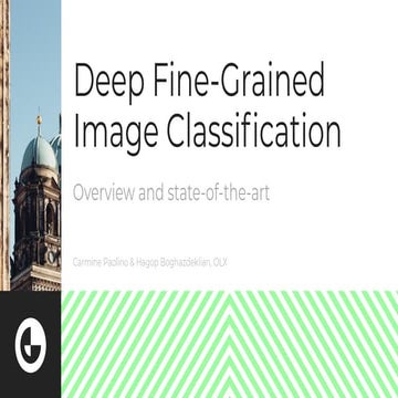 Deep Fine-Grained Image Classification [Keynote at IFIP WCC 2018] | PPT