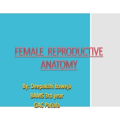 ANATOMY OF FEMALE REPRODUCTIVE SYSTEM | PPTX
