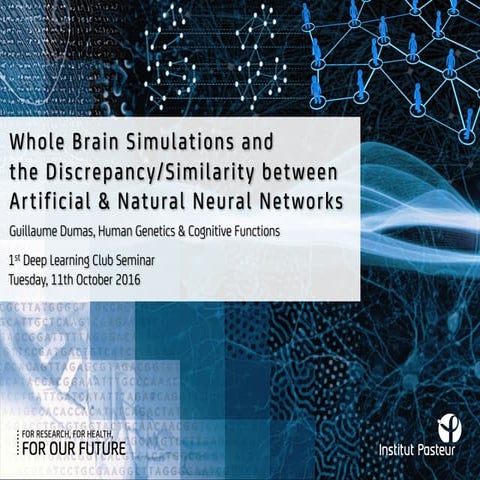 Whole Brain Simulations and the Discrepancy/Similarity between Artificial & Natural Neural ...