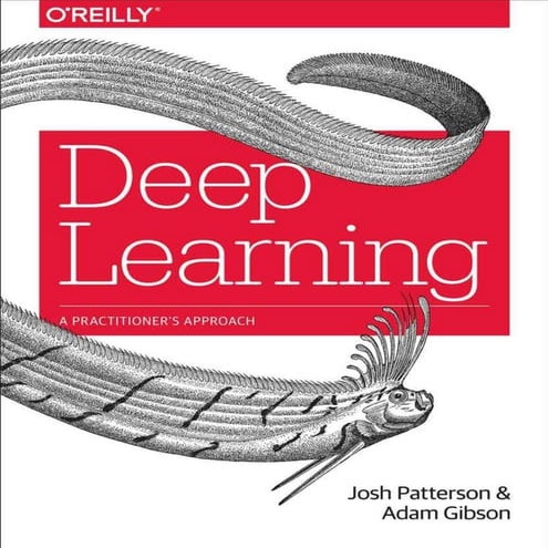 DeepLearningPractitionersApproach (1).pdf