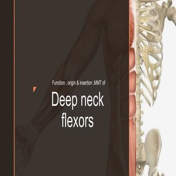 Manual Muscle Testing For Trunk, Neck & Face | PPTX