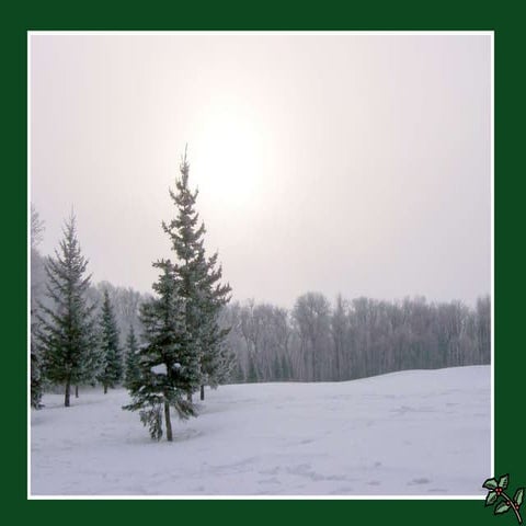 Winter's Deep Peace | PPT