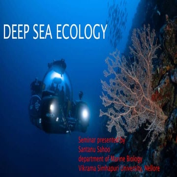 Unveiling the Depths: Exploring the Enigmatic World of Deep Sea Ecology ...