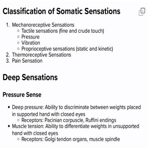 Deep sensation neurological anatomy 1.pdf