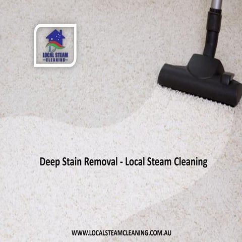 Deep Stain Removal - Local Steam Cleaning | PDF
