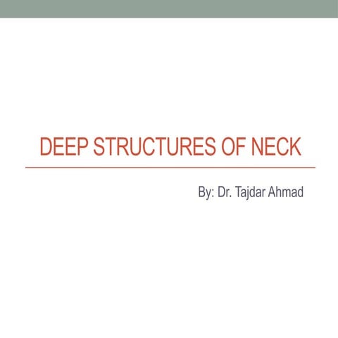 Deep structures of Neck (head and neck gross anatomy) | PPTX