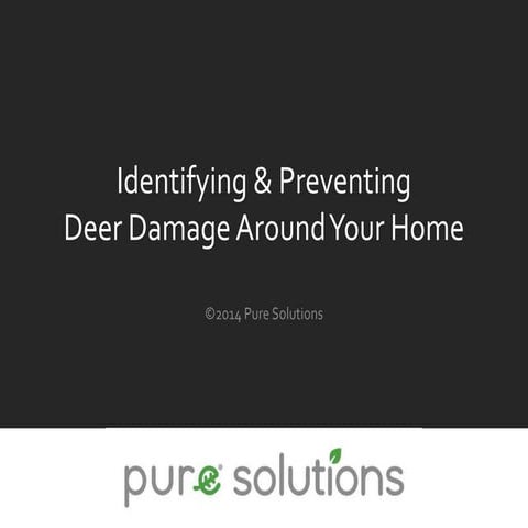 Intestinal Parasites | PDF