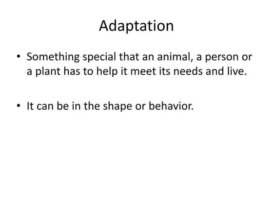 Animal adaptations presentation | KEY