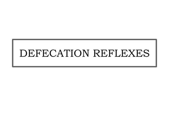 Stages & regulation of pancreatic secretion | PPT