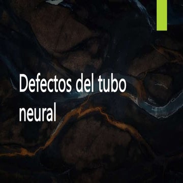 DEFECTOS DEL TUBO NEURAL pediatría .pptx