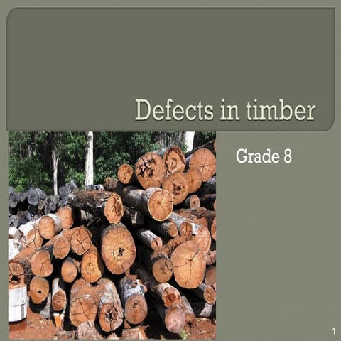 Defects in timber | PPT
