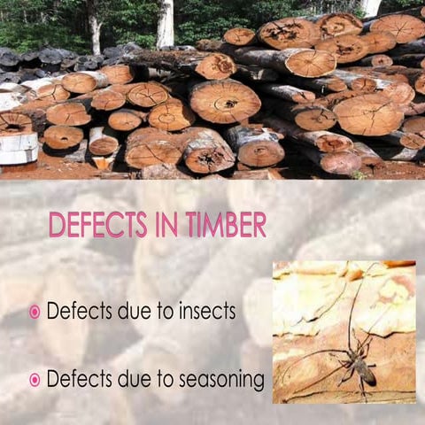 Defects in timber (1) | PPTX