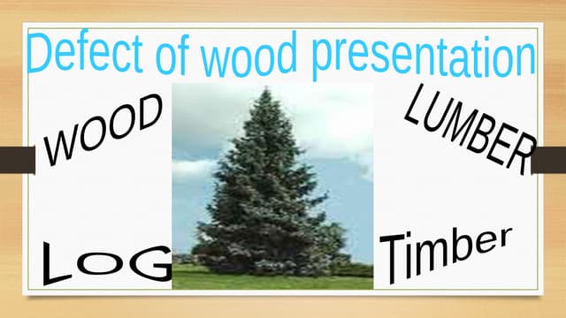 Defects in timber | PPTX