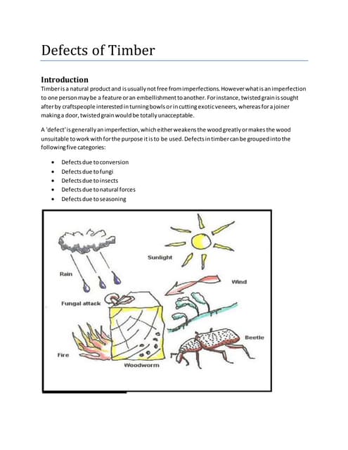 timber characteristics and defects | PPT