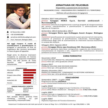 Jonathan De Felicibus CV | PDF