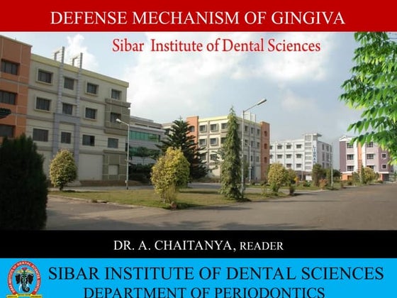 Defence mechanism of gingiva and host response gcf | PPT