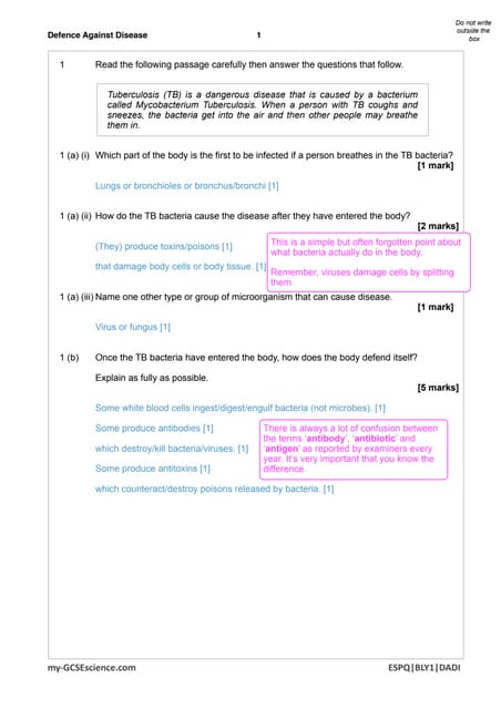 Defense against diseases | PDF