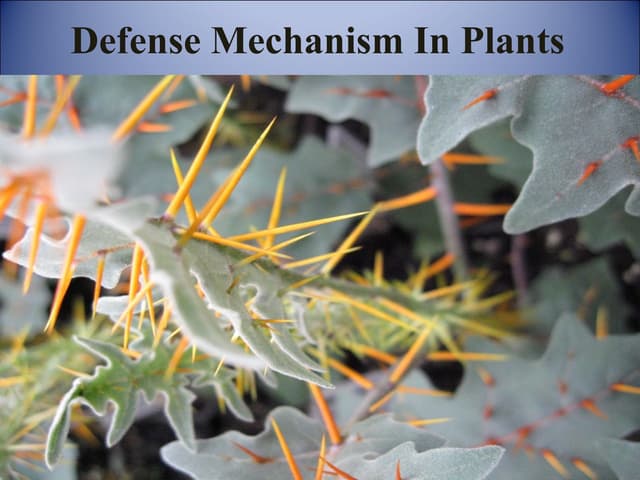 Plant resistance mechanism | PPTX