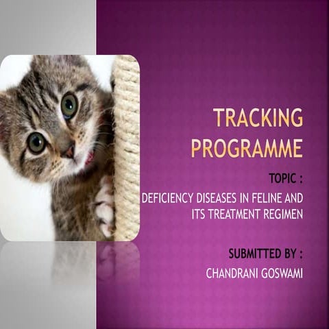 DEFICIENCY DISEASES IN FELINE AND ITS TREATMENT REGIMEN | PPTX