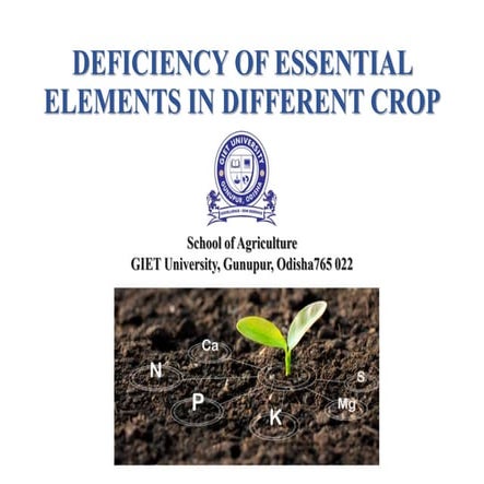 DEFICIENCY OF ESSENTIAL ELEMENTS IN DIFFERENT CROP.pptx