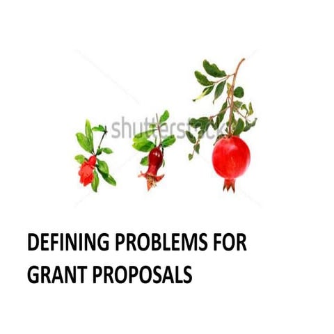 Defining Problems for Grant Proposals | PPTX
