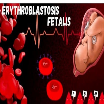 Erythroblastosis fetalis presentation explained bestt | PDF