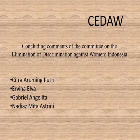 Definition of cedaw | PPTX