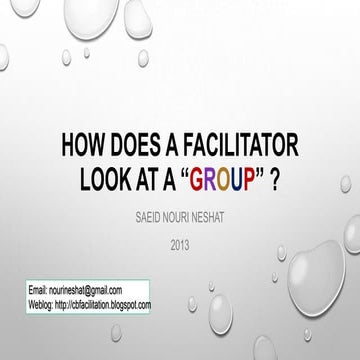 Phillips Affinity Leadership Program | PDF