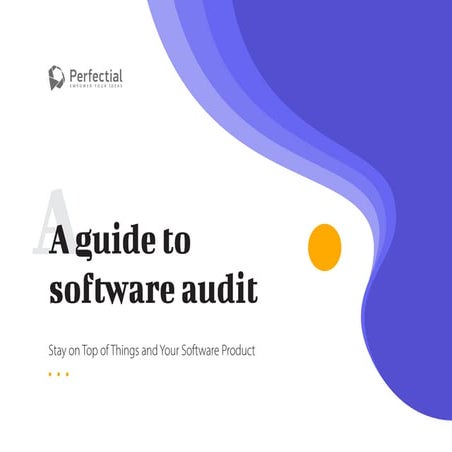 A Guide to Software Audit | PDF