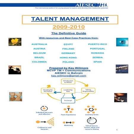 Talent Management Definitive guide | PDF