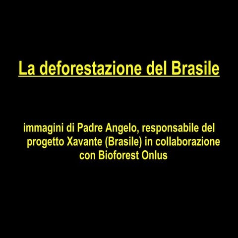 Deforestazione Brasile | PPS